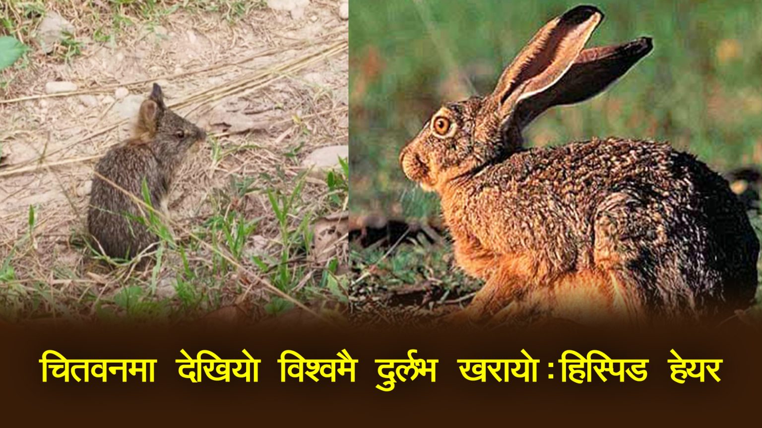 Mero LifeStyle - Mero LifeStyle